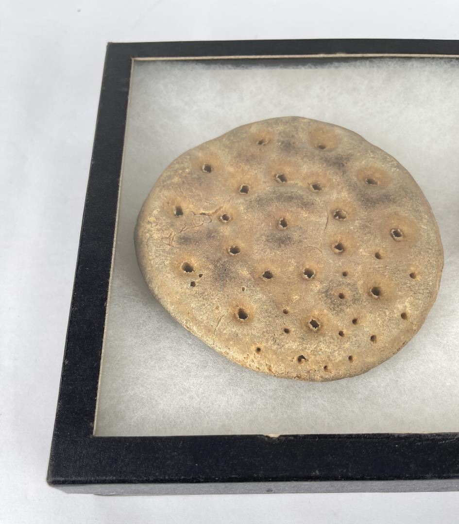 1880s Naval Hard Tack Biscuits