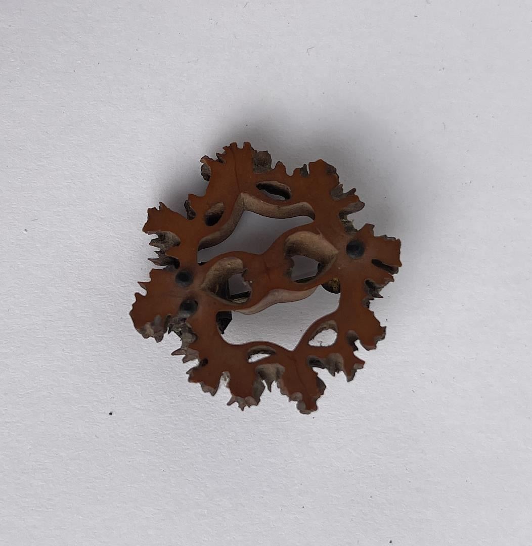 Civil War Copperhead Political Party Badge