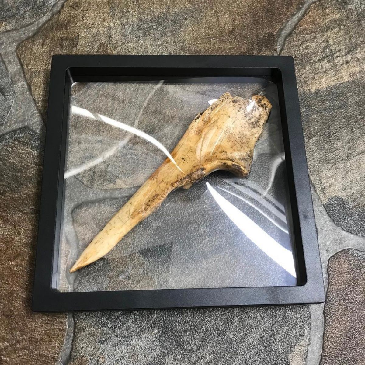 Native American Paleo Splinter Awl Tool
