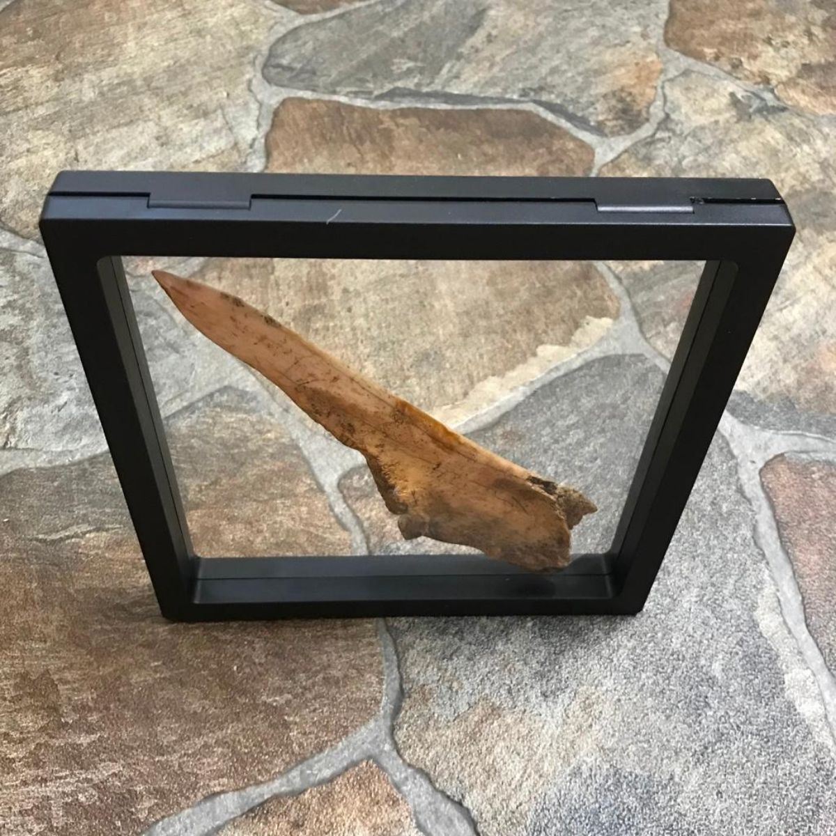 Native American Paleo Splinter Awl Tool