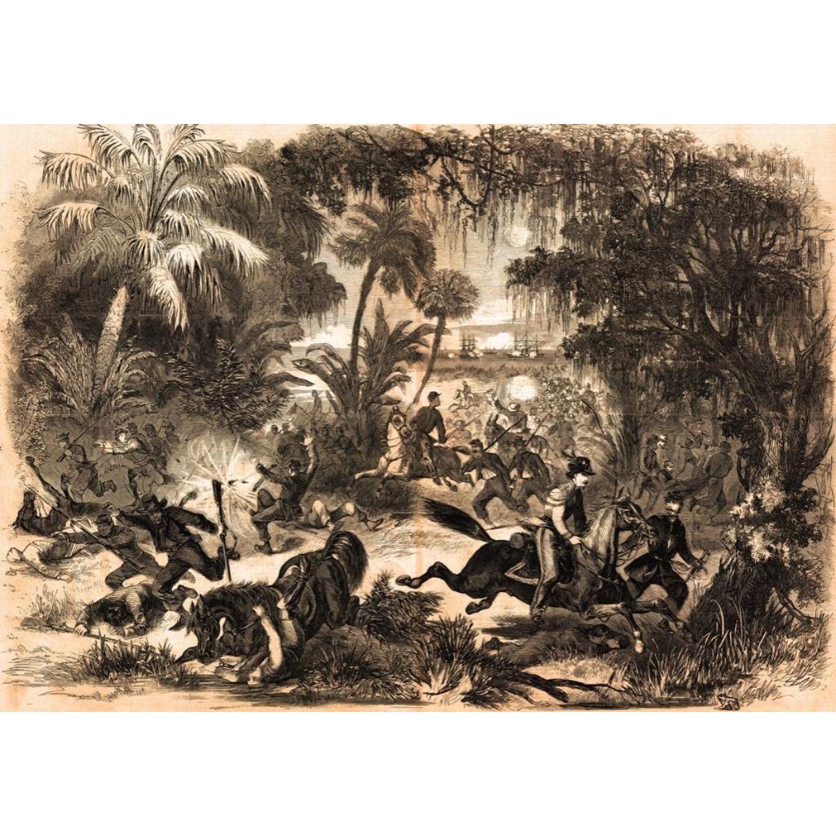 19thc Engraving, Civil War, Fort Walker, Hilton Head