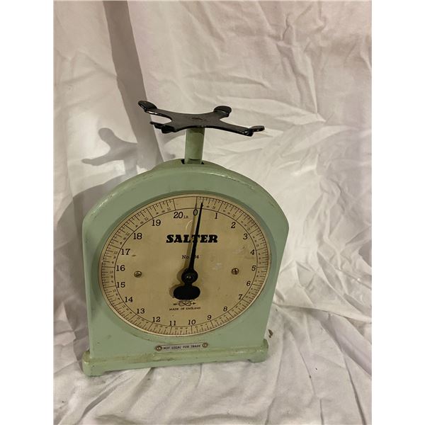 Salter scale