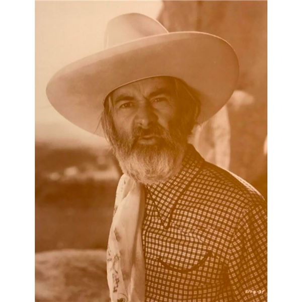 Gabby Hayes Western Cowboy Sidekick Photo Print