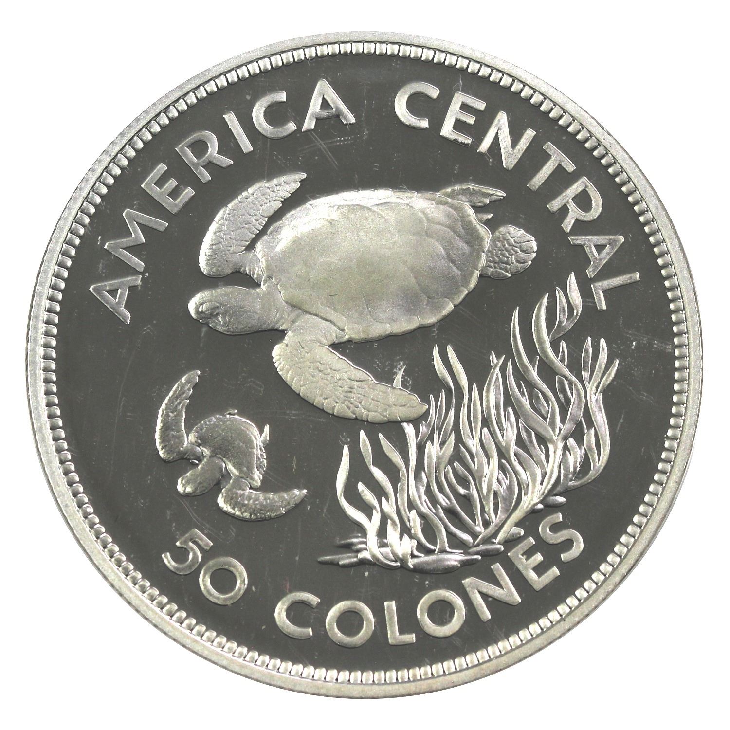 1974 Costa Rica 50 Colones, Green Turtle .925 Proof Silver Coin ...