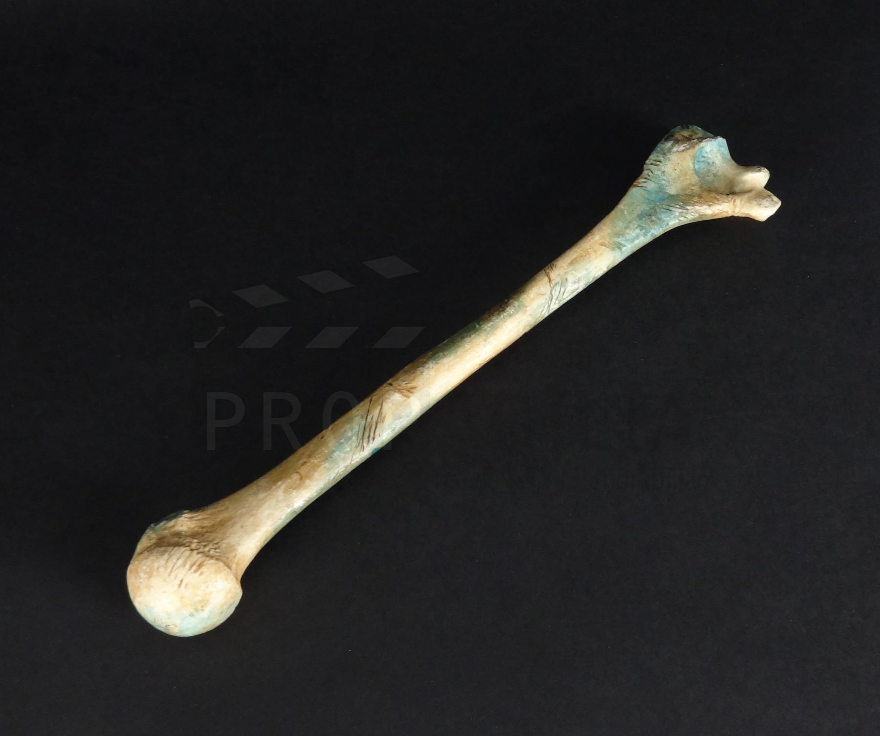 Bones (20th Century Fox Television, 2005-2017) - Toxic Waste Skeleton ...