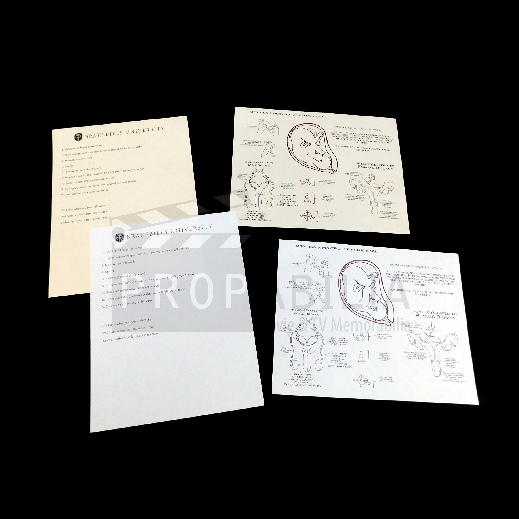 The Magicians (SyFy, 2015-2020) - Dean Fogg's Sex Education Handout (9024)