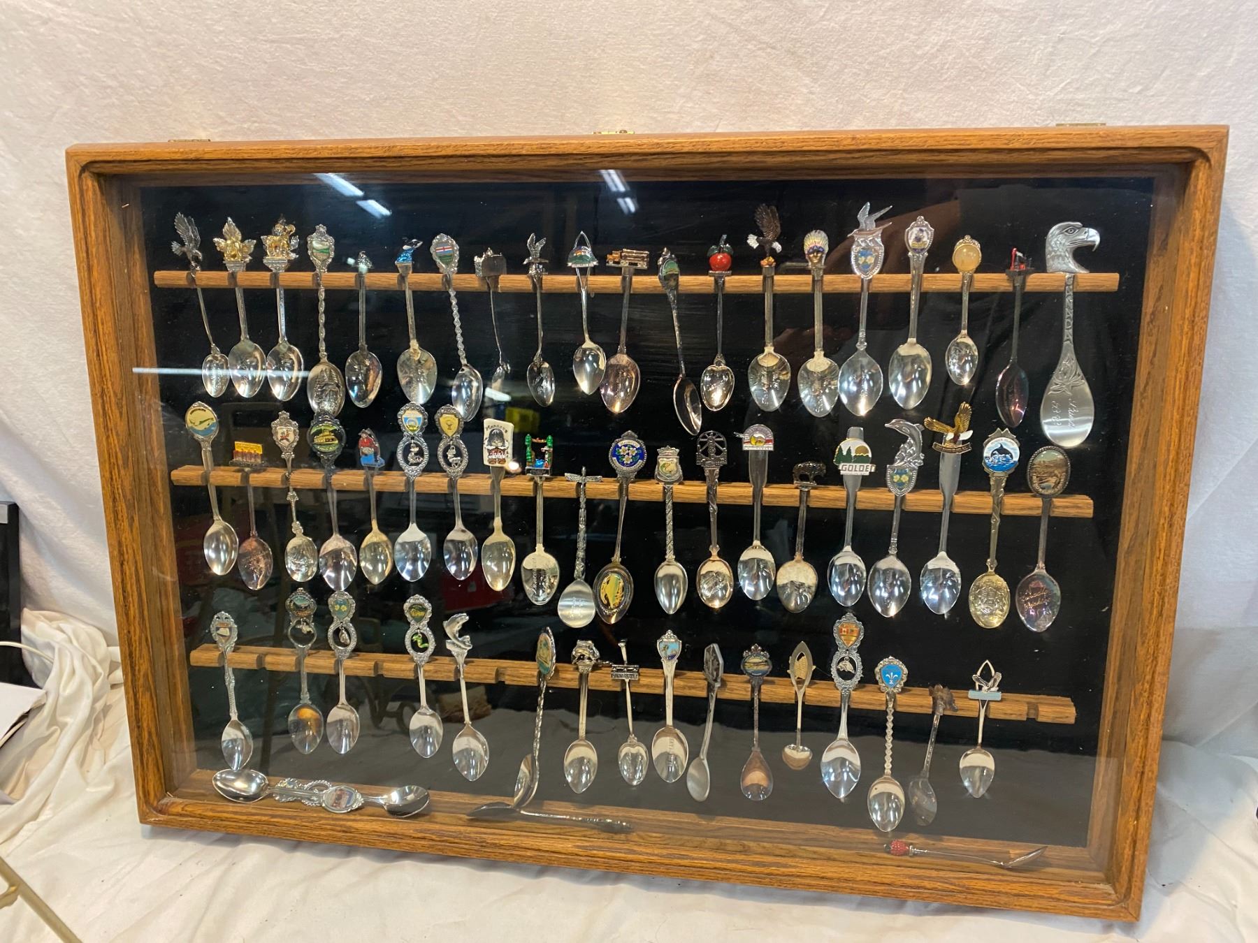 Collector spoons in case