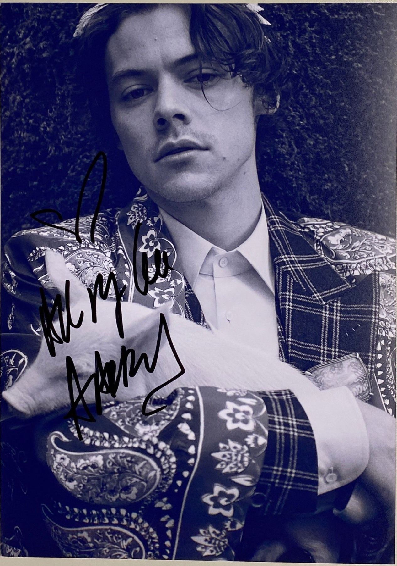Harry Styles Photo Autograph Signed