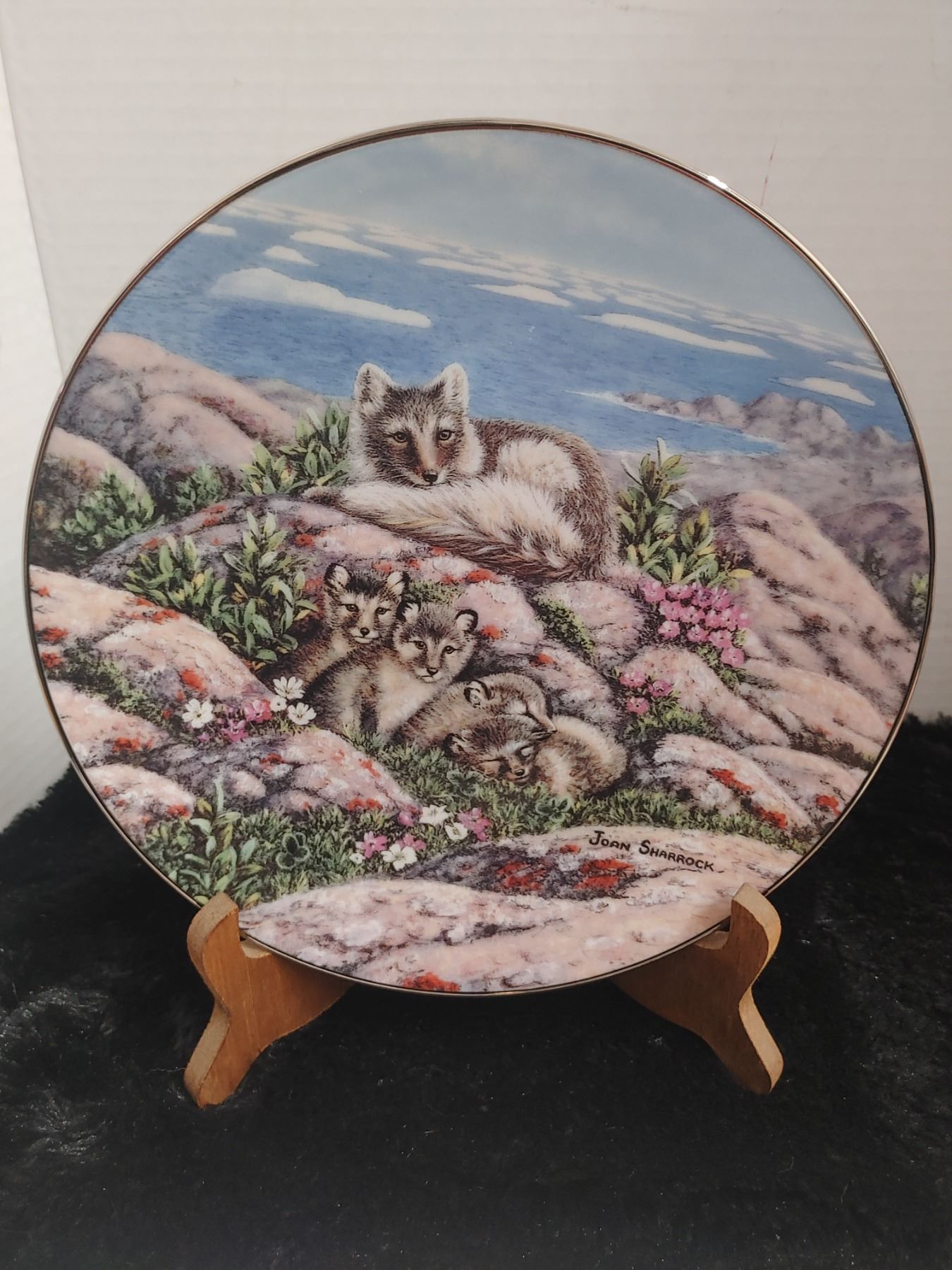 2 Fox Art Numbered Collector Plates with stands + Inspirational Card ...