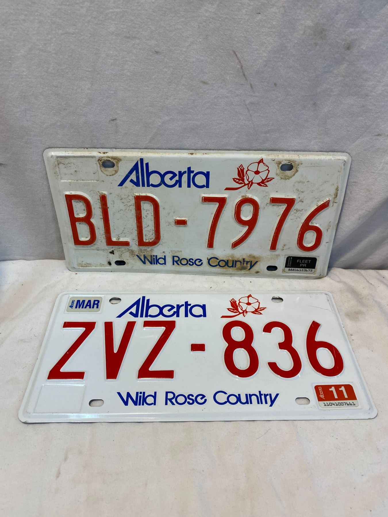 Two Alberta licence plates