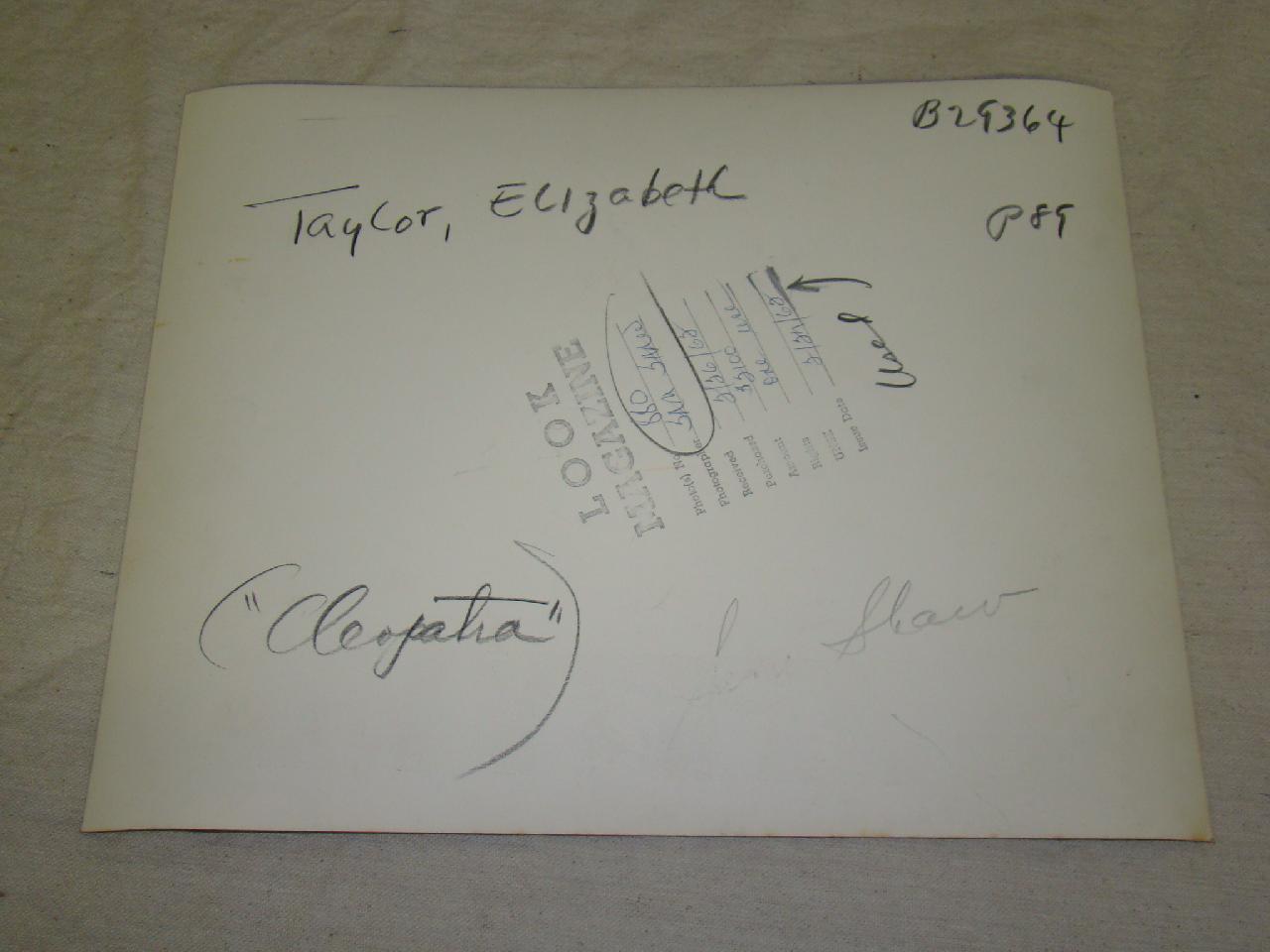 Elizabeth Taylor Photo. Sam Shaw