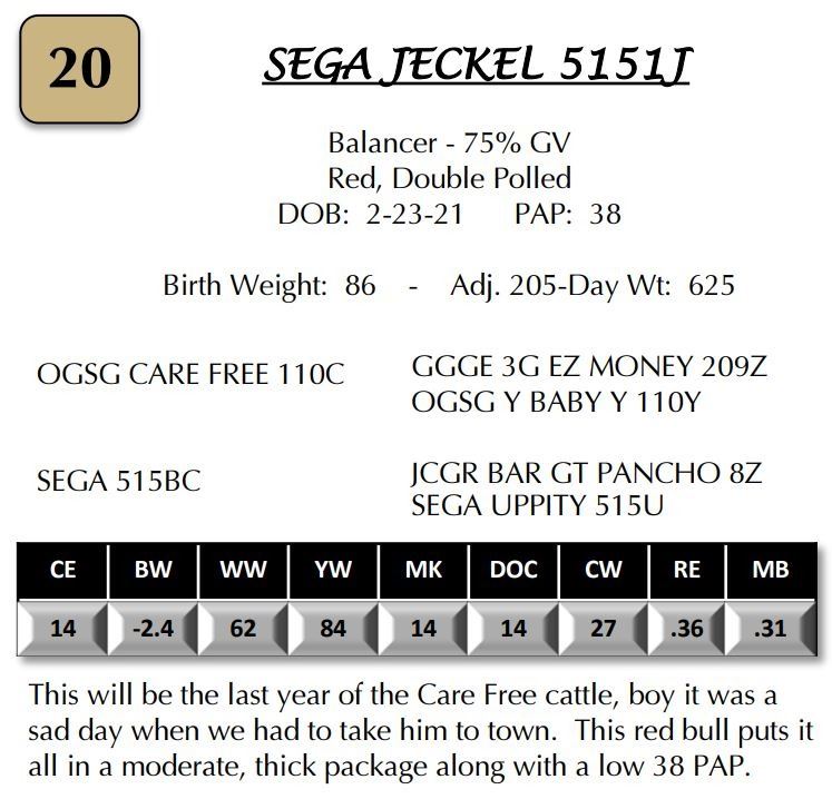 SEGA JECKEL 5151J