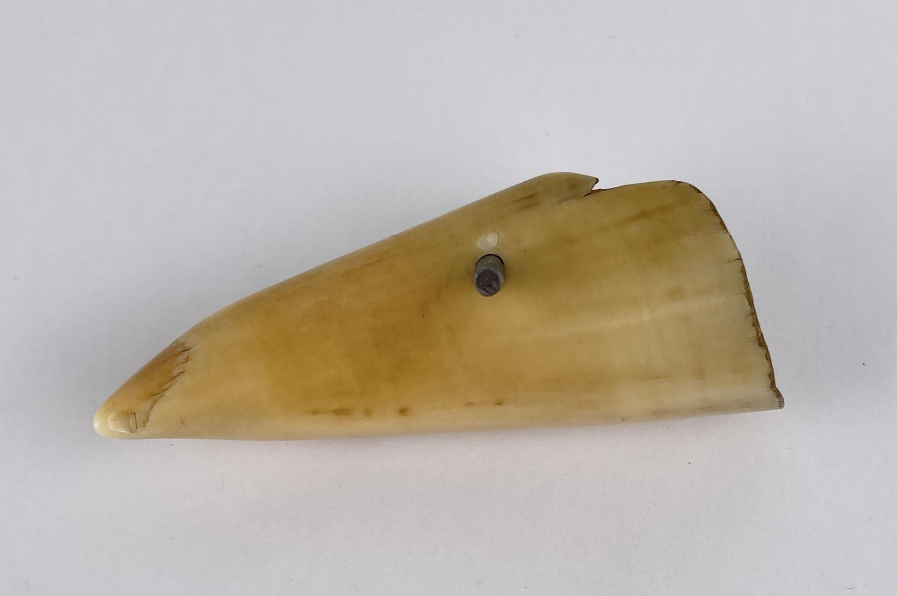 Antique Eskimo Inuit Scrimshaw Whale Tooth