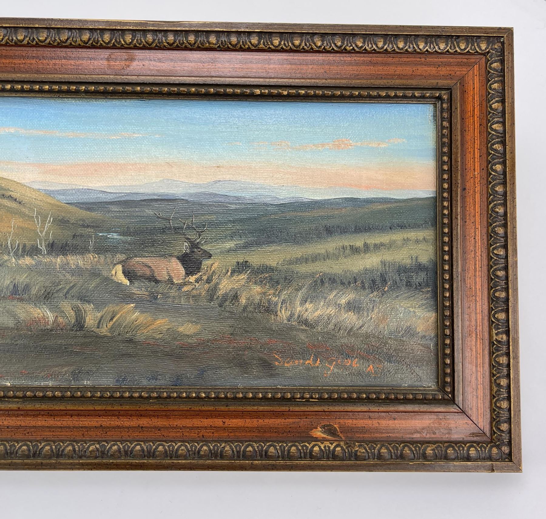 Sandi Gipe Montana Bull Elk Painting