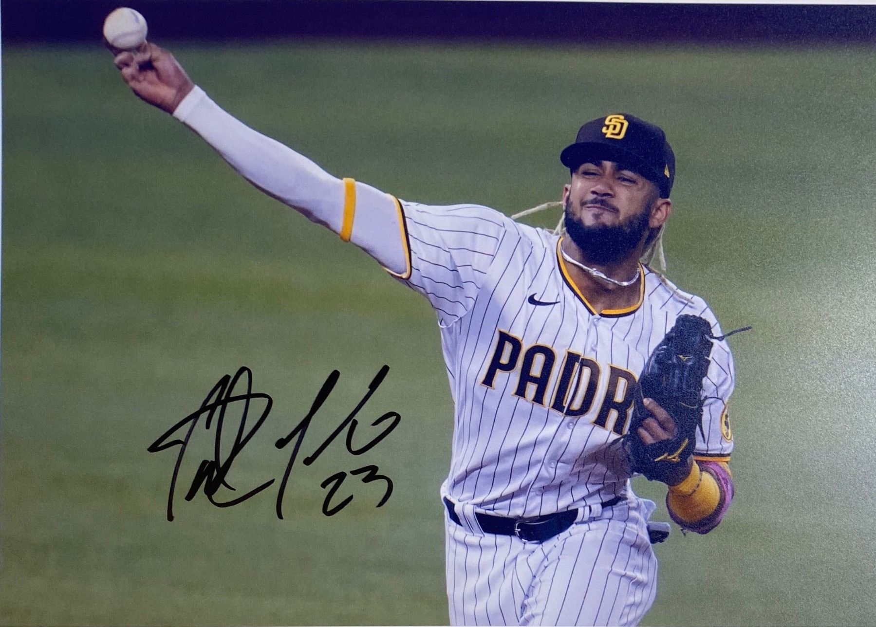 Autograph Signed Fernando Tati´s Jr Photo
