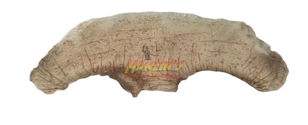 Doctor Sleep (2019) - Mrs. Massey (Sallye Hooks) Forehead/Brow Prosthetic