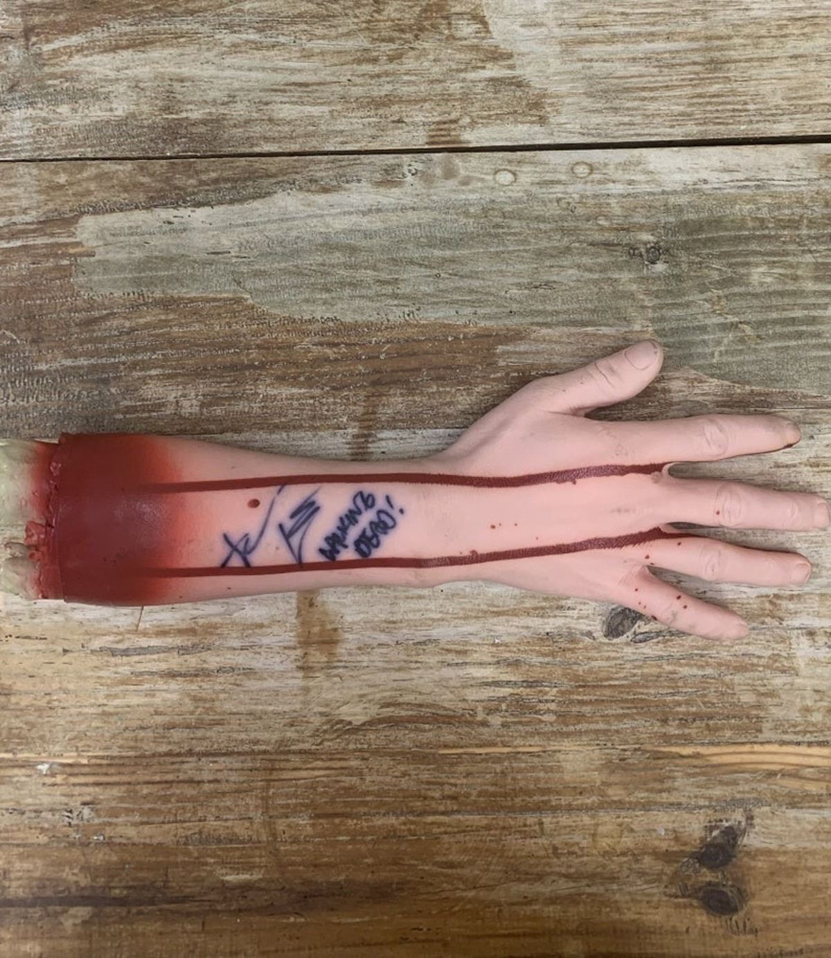 Signed Walking Dead Prop Arm