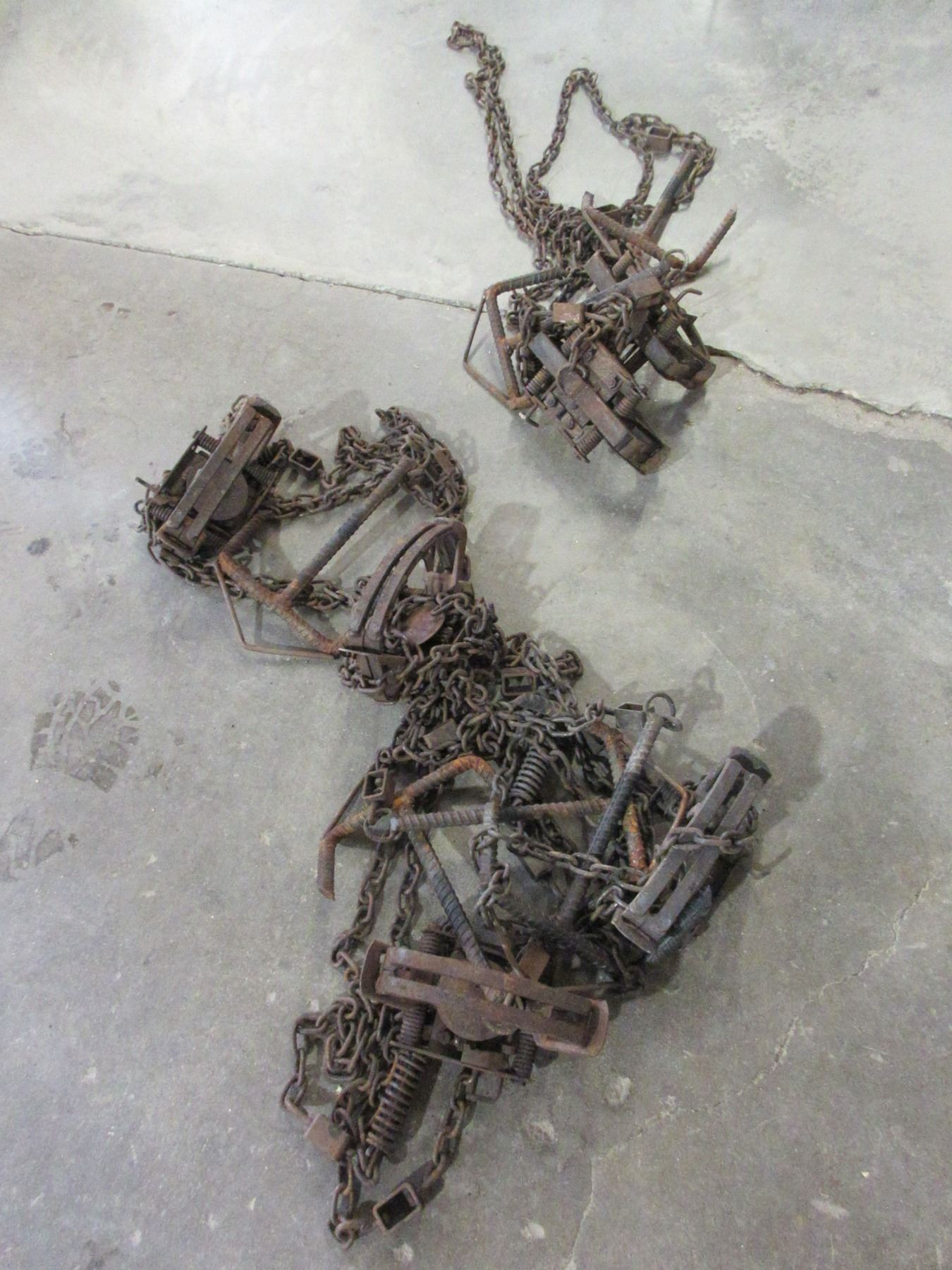 6 MB 750 Wolf Traps- 4 Coiled- Laminated Offset Jaws- 11' Of Heavy ...