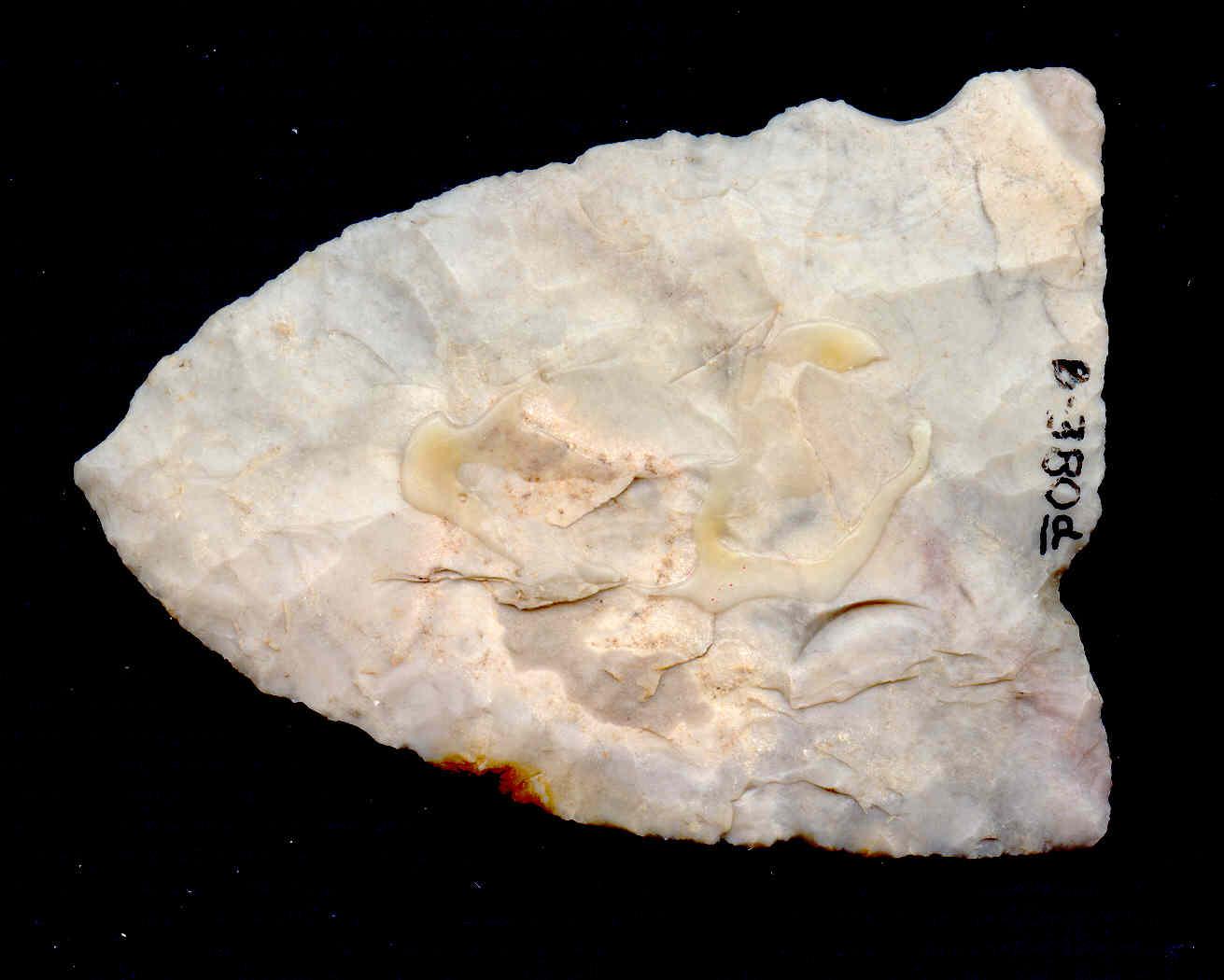 Red Ochre Blade, Rogers COA