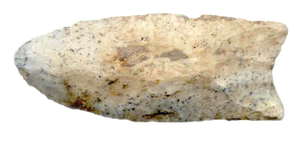 Paleo Clovis, Partain COA, Baker COA