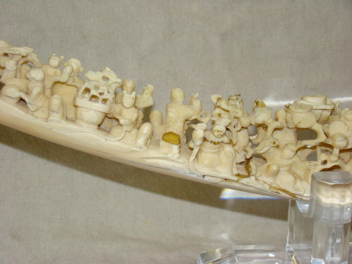 Hand Carved Oriental Ivory Tusk