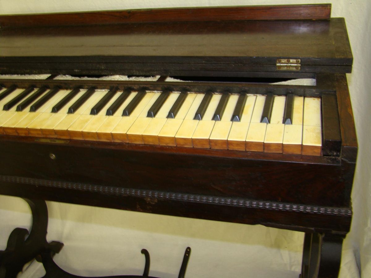 Melodeon. Rosewood Case, Circa 1880's