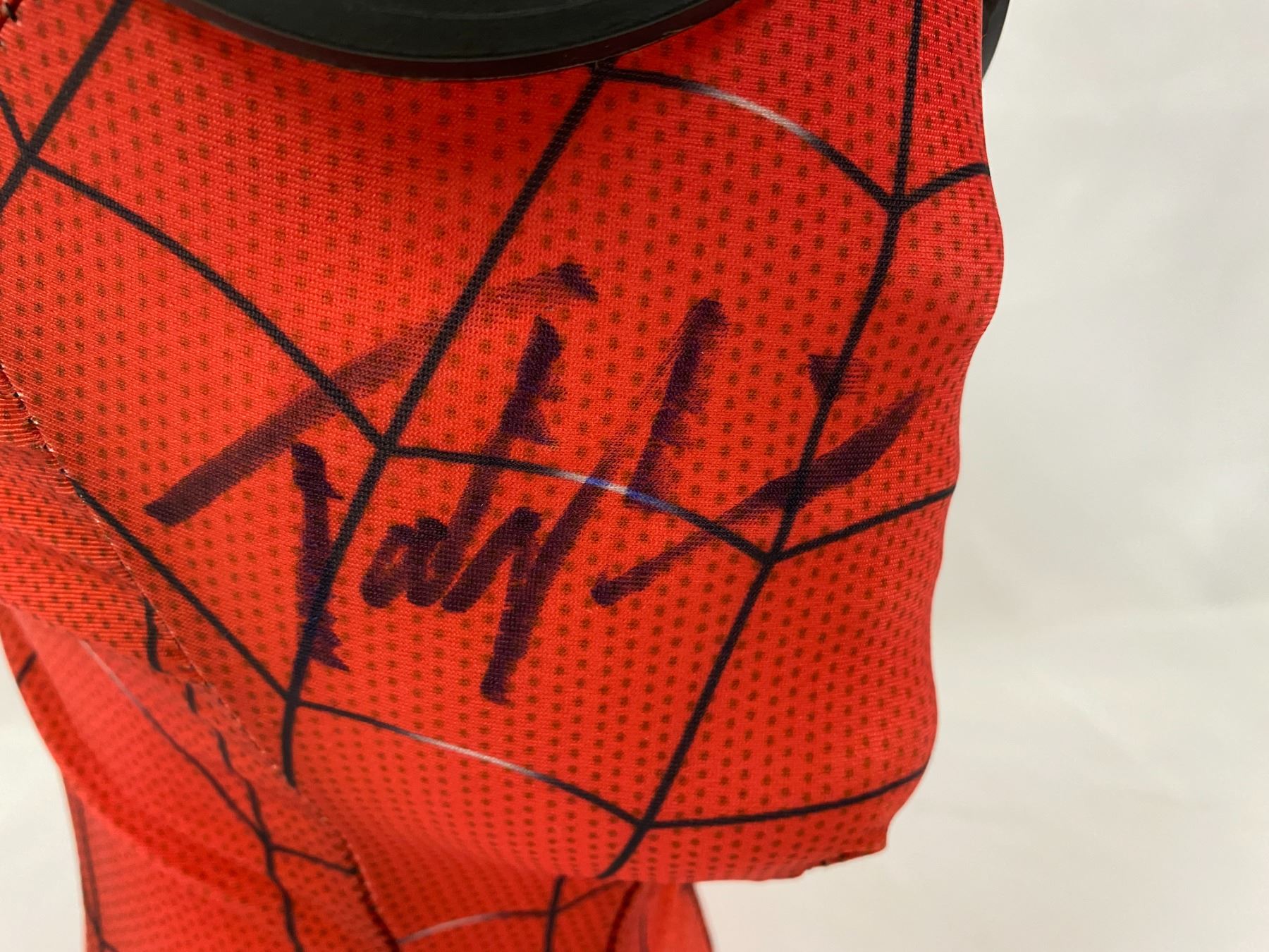 Spiderman Tobey Maguire Autograph Signed Mask
