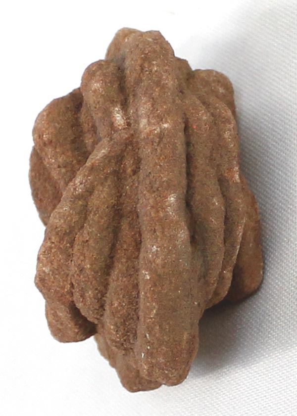 Petrified Red Desert Rose 2x4''