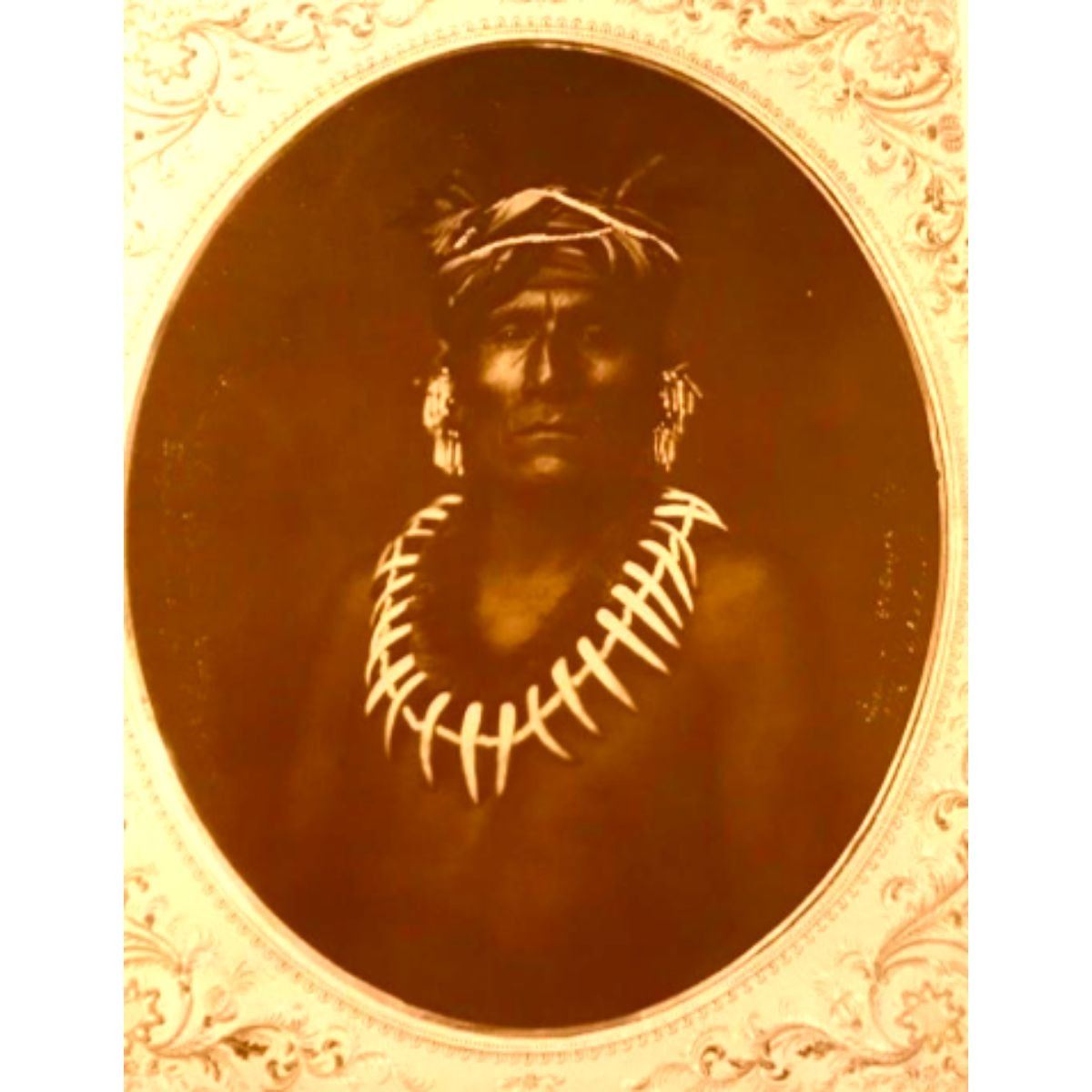 Native American History, Kansas Chief Photo Print