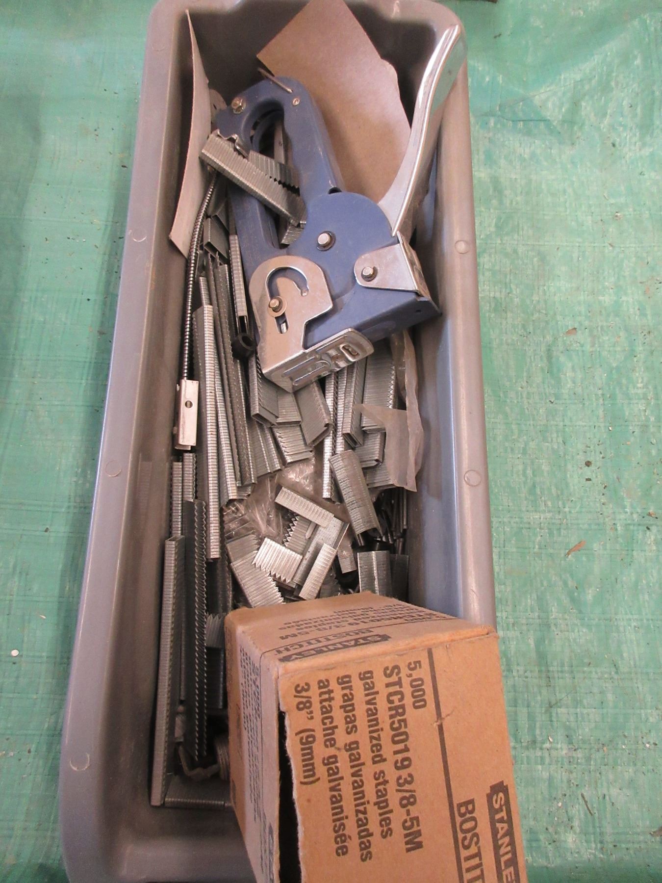 SHOP: Bin with Staples & Stapler