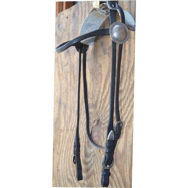 headstall with silver conchos