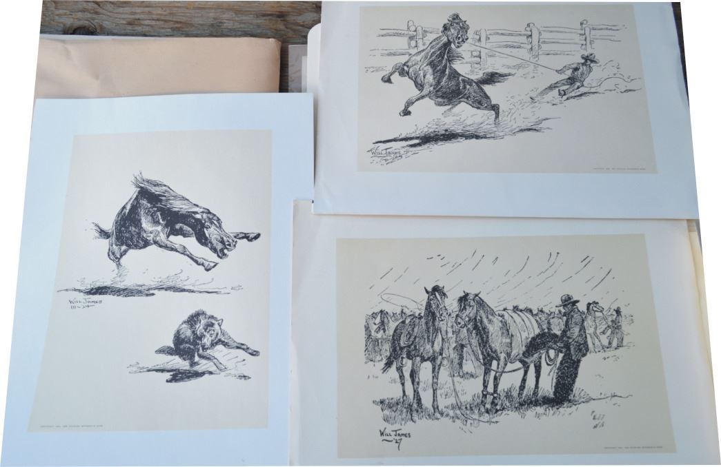 Will James portfolio of 4 drawings