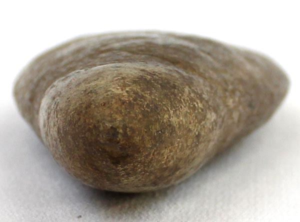 Prehistoric Native American Stone Plummet