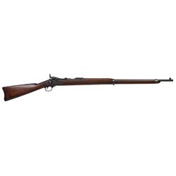 Springfield Experimental .30 Caliber Rifle,