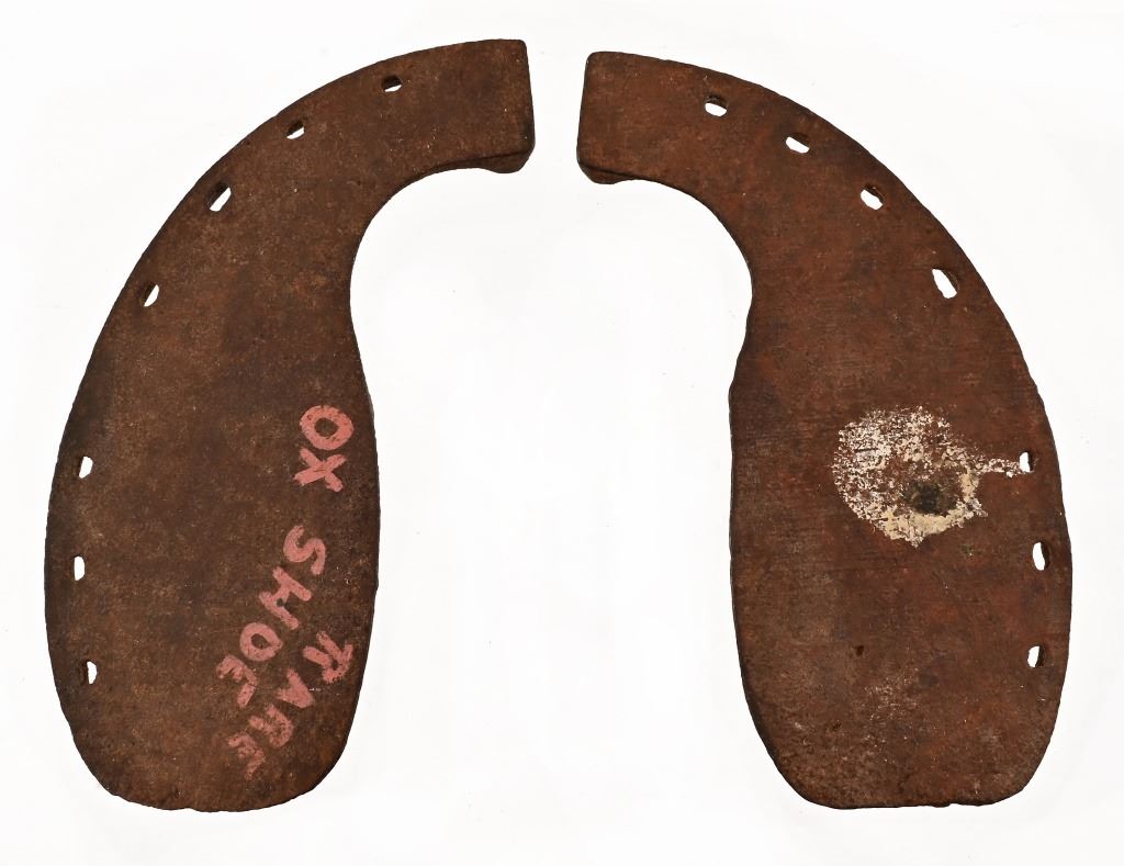Rare Antique Ox Shoe