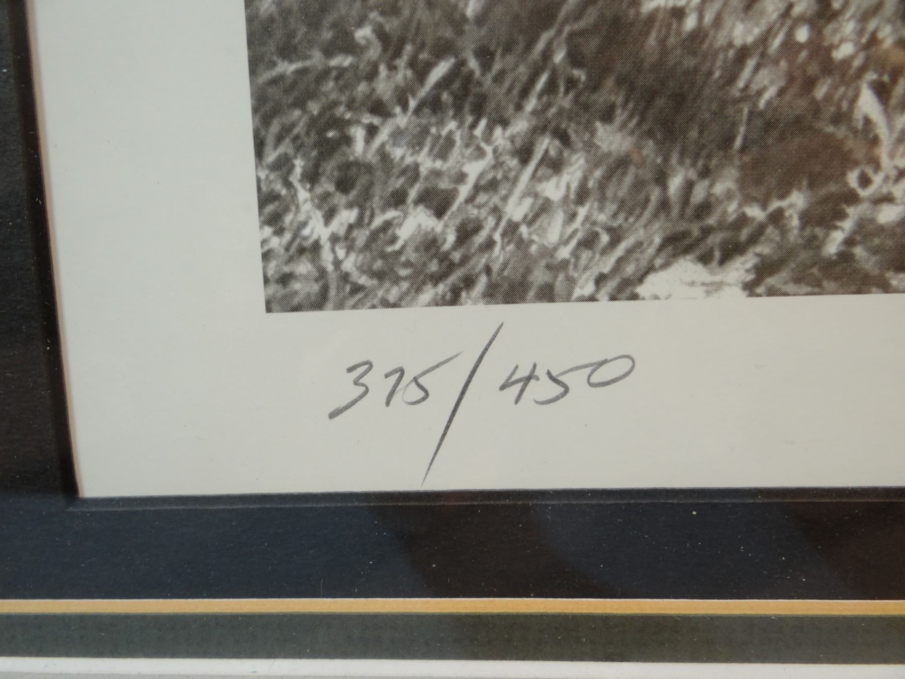 Shufelt, Robert (Shoofly) signed & framed pencil print, Knee High To A ...