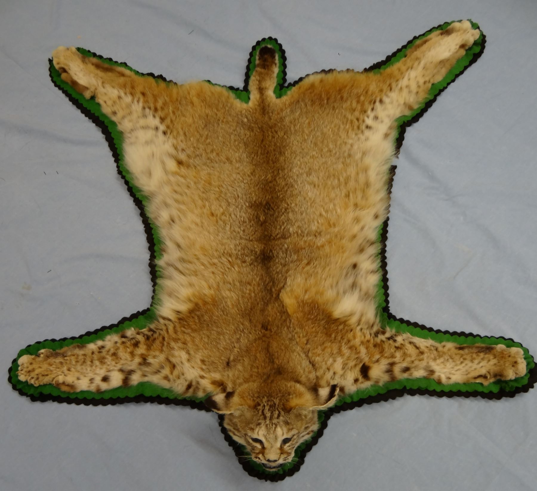 Bobcat rug