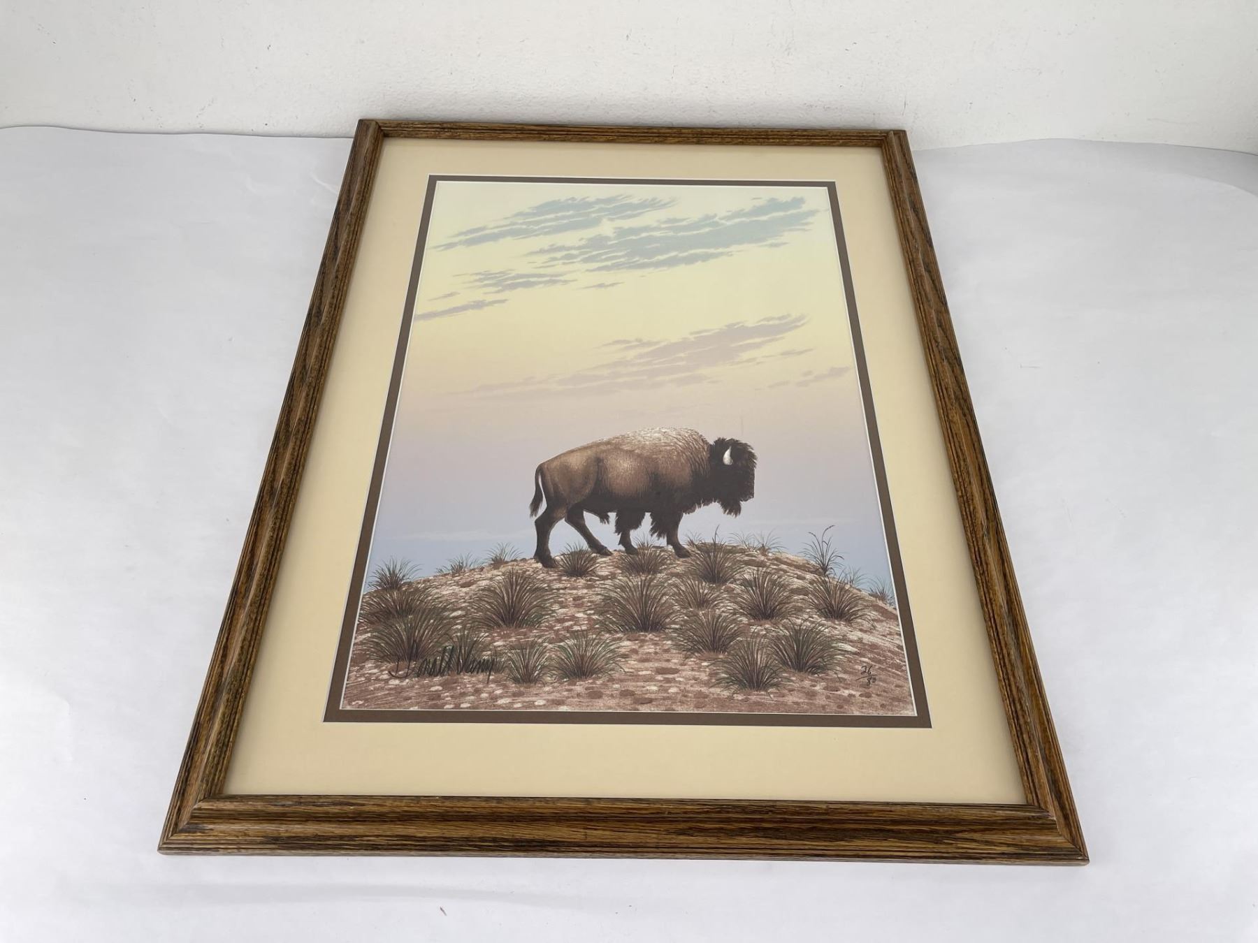Donald Vann Signed Numbered Buffalo Print
