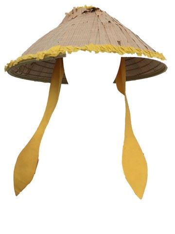 Mortal Kombat Raiden Hat Movie Props