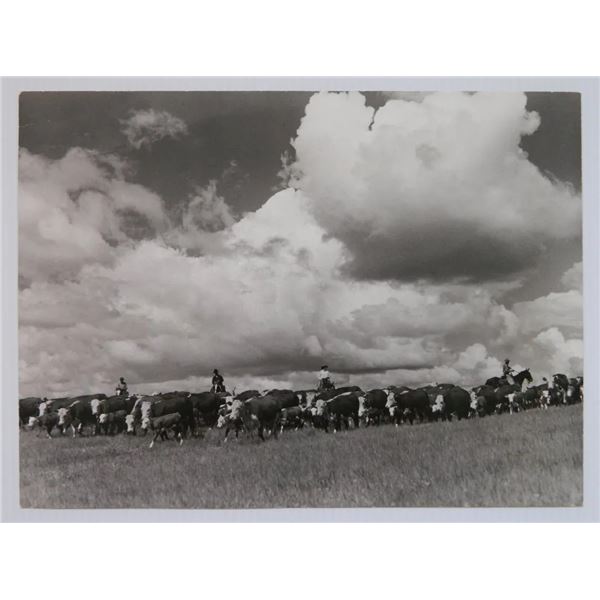 Arthur Rothstein vintage FSA photograph