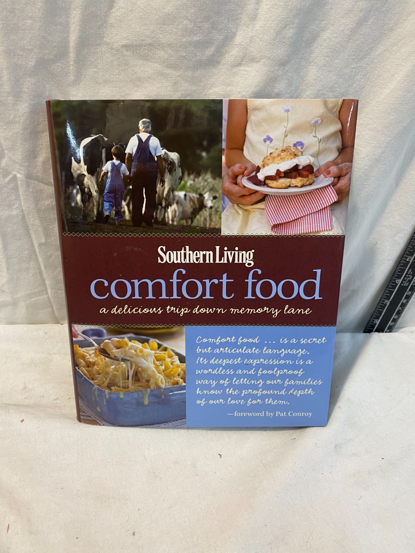 Southern Living comfort food book
