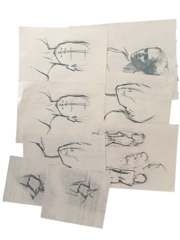 Tulip Fever Jan Van Loos (Dane DeHaan) Sketches of Sophia Movie Props