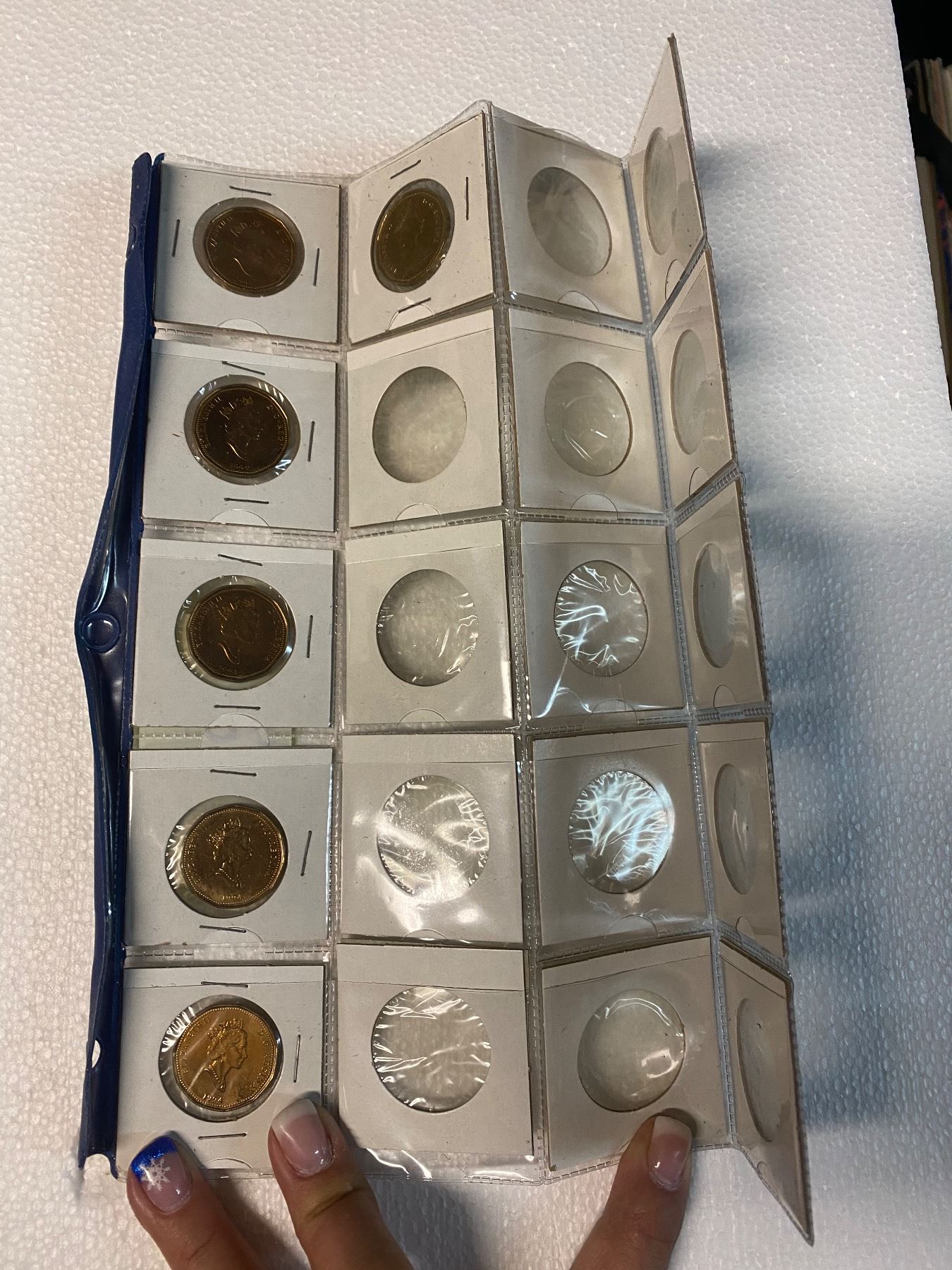 6 Canadian coin loonies