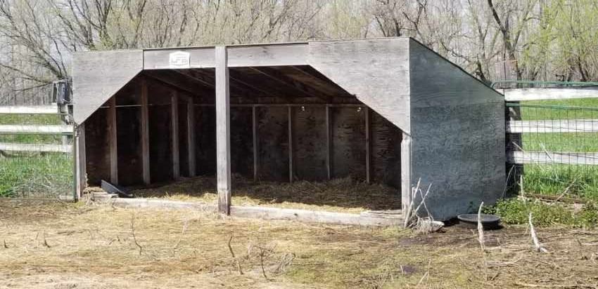 Calf / Small animal shelter. 8ft. x 16 ft treated plywood, 4x6 skids