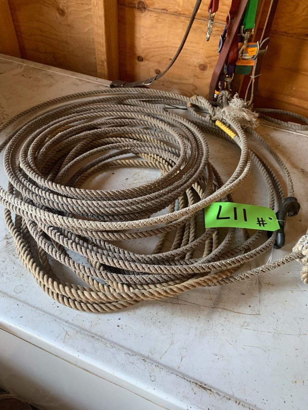 Breakaway Rope, Calf Rope and Lariat