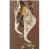 Fleming Bridle & Bit with 2 Pr of Spurs