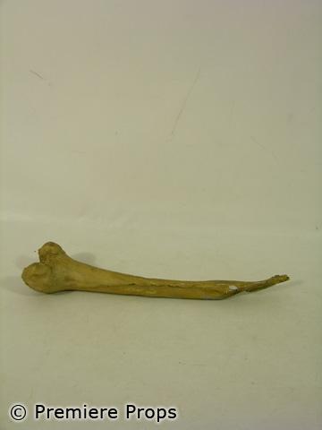 Midnight Meat Train Rubber Bone Movie Props