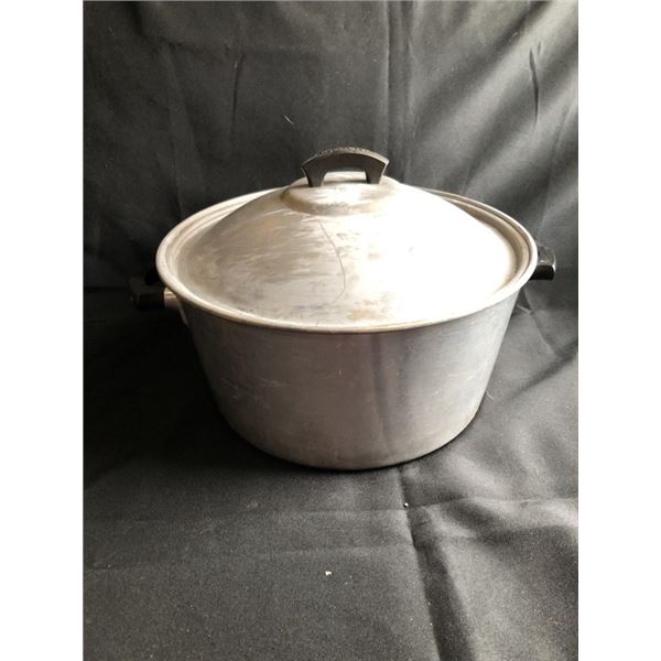 12 inch wide 6 inch deep pot