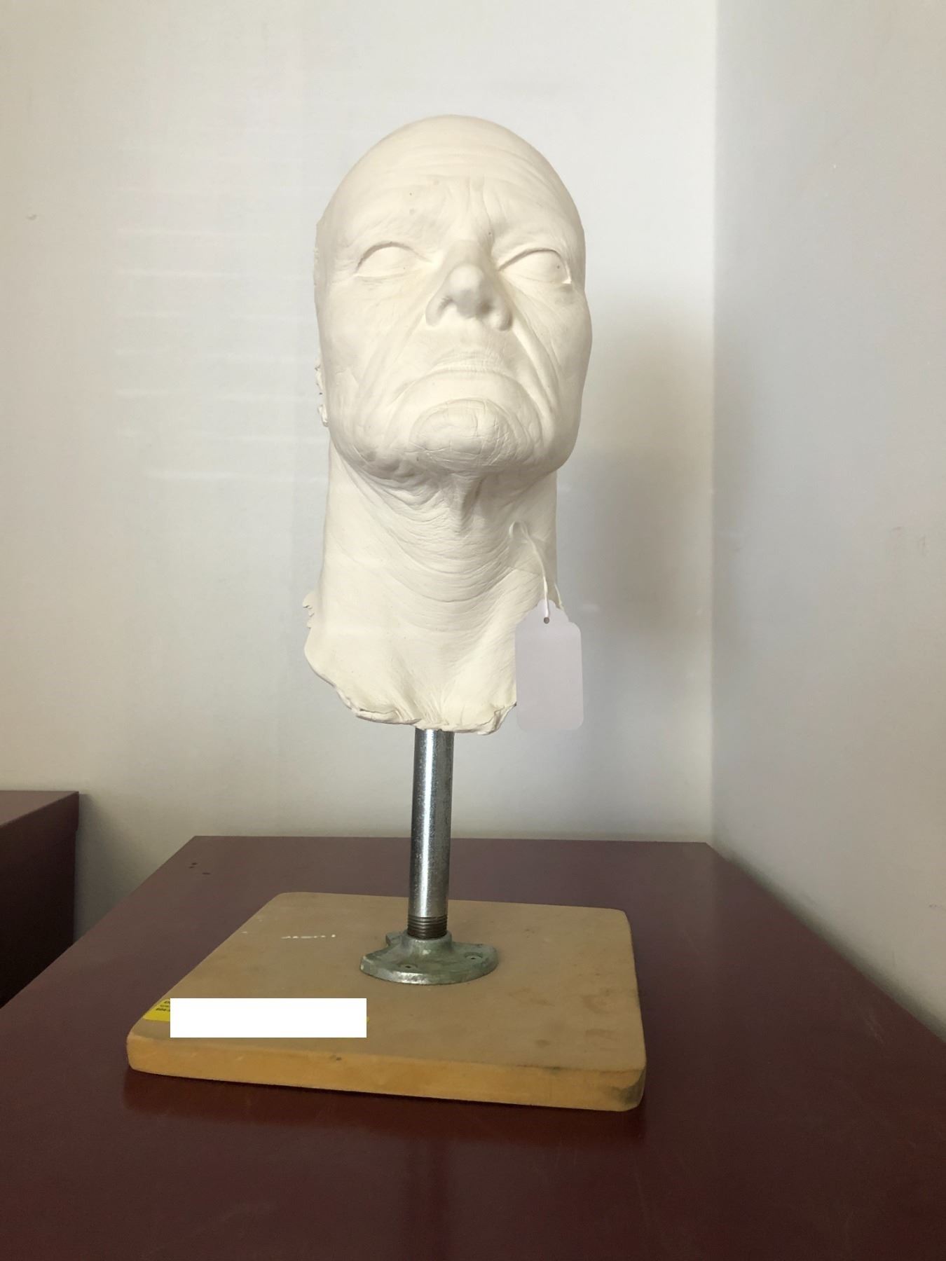 "Percy Jackson" - "Missy Pyle" Face cast