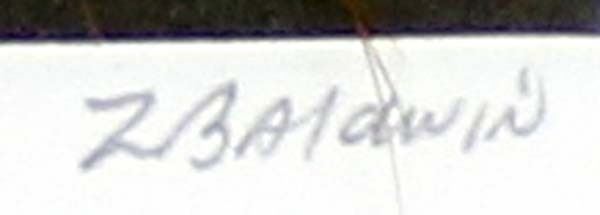 Multi-Media Picture by Zane Baldwin